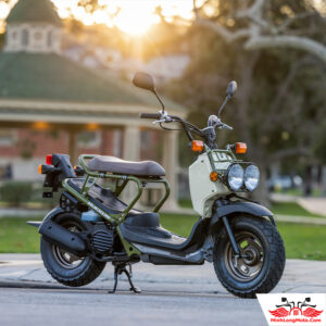 Honda Zoomer 50cc: Giá xe máy Zoomer 50cc 2025 chính hãng