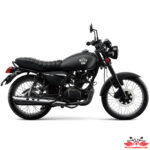 SYM Wolf 125 và Wolf 125 Legend thế hệ mới lộ diện